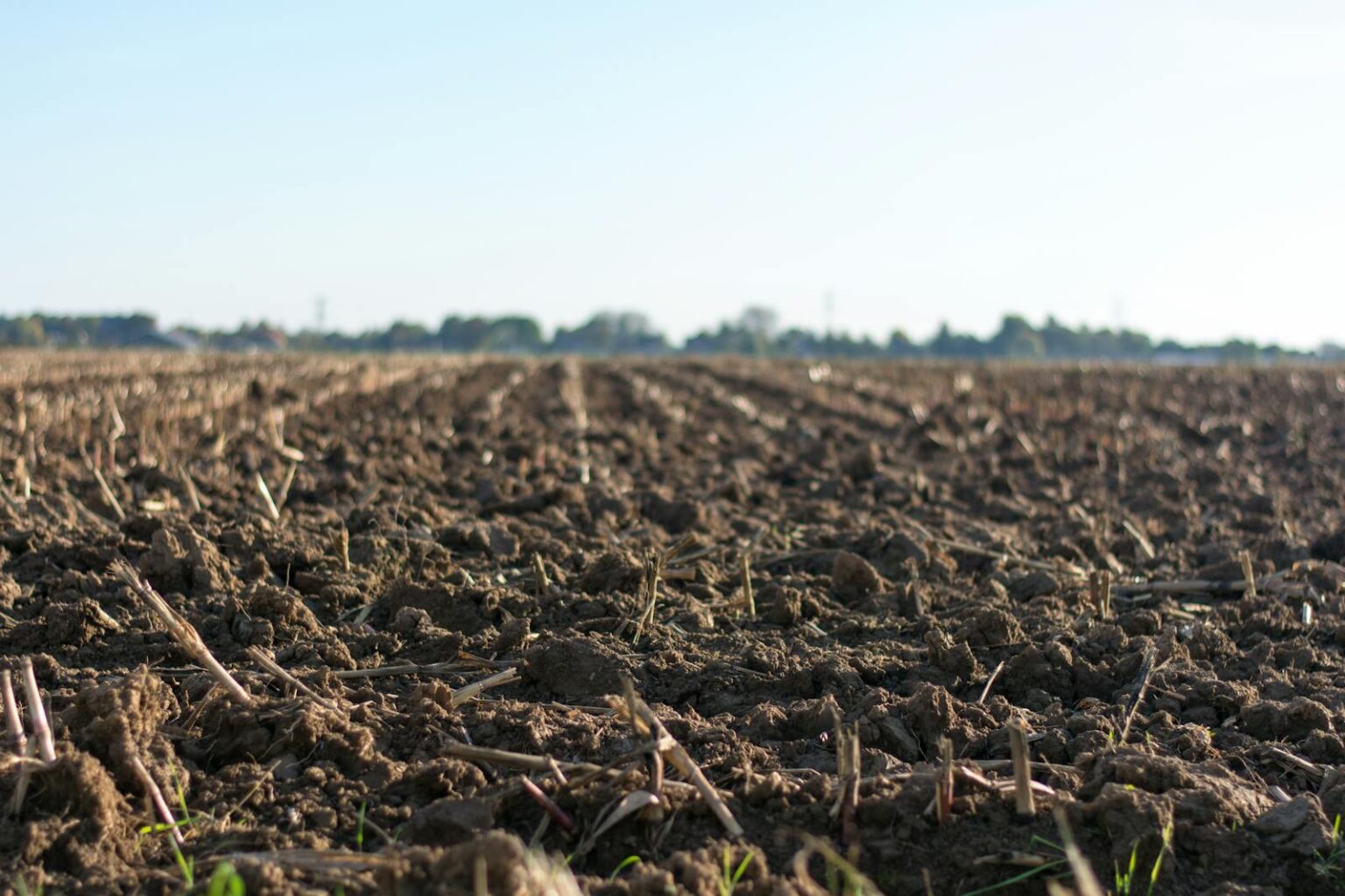 Welcome to the Farm - Farm Finder Network